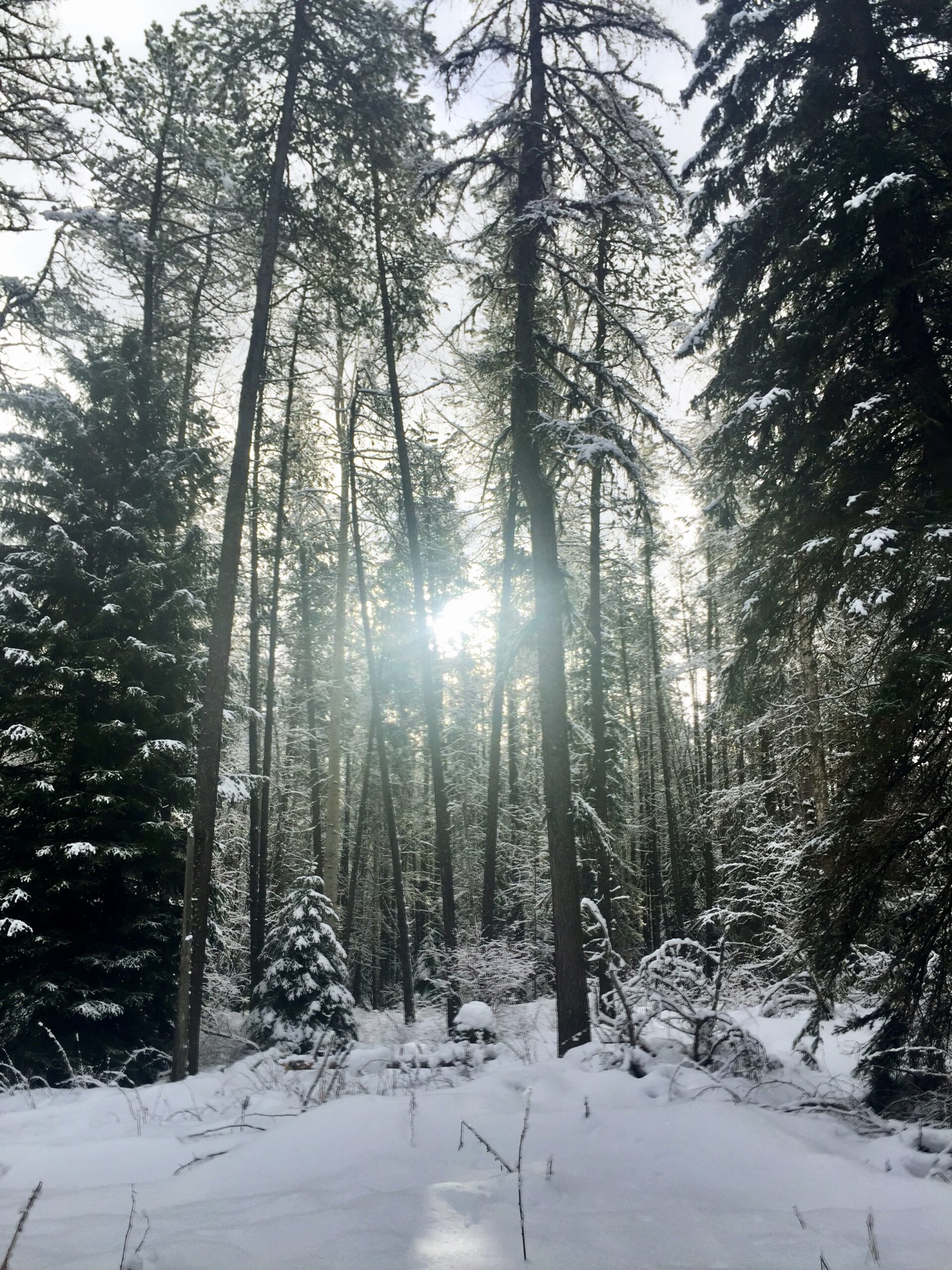 Stage Stop Inn – A rustic respite in Choteau, Montana